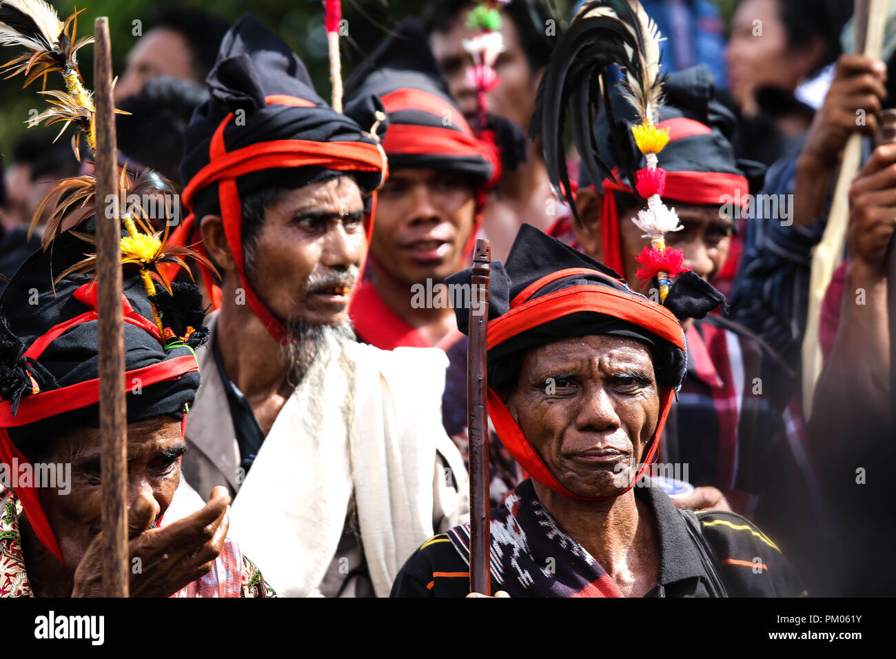 Rato, Sumba traditional leaders, gathered for the preparation of the ...
