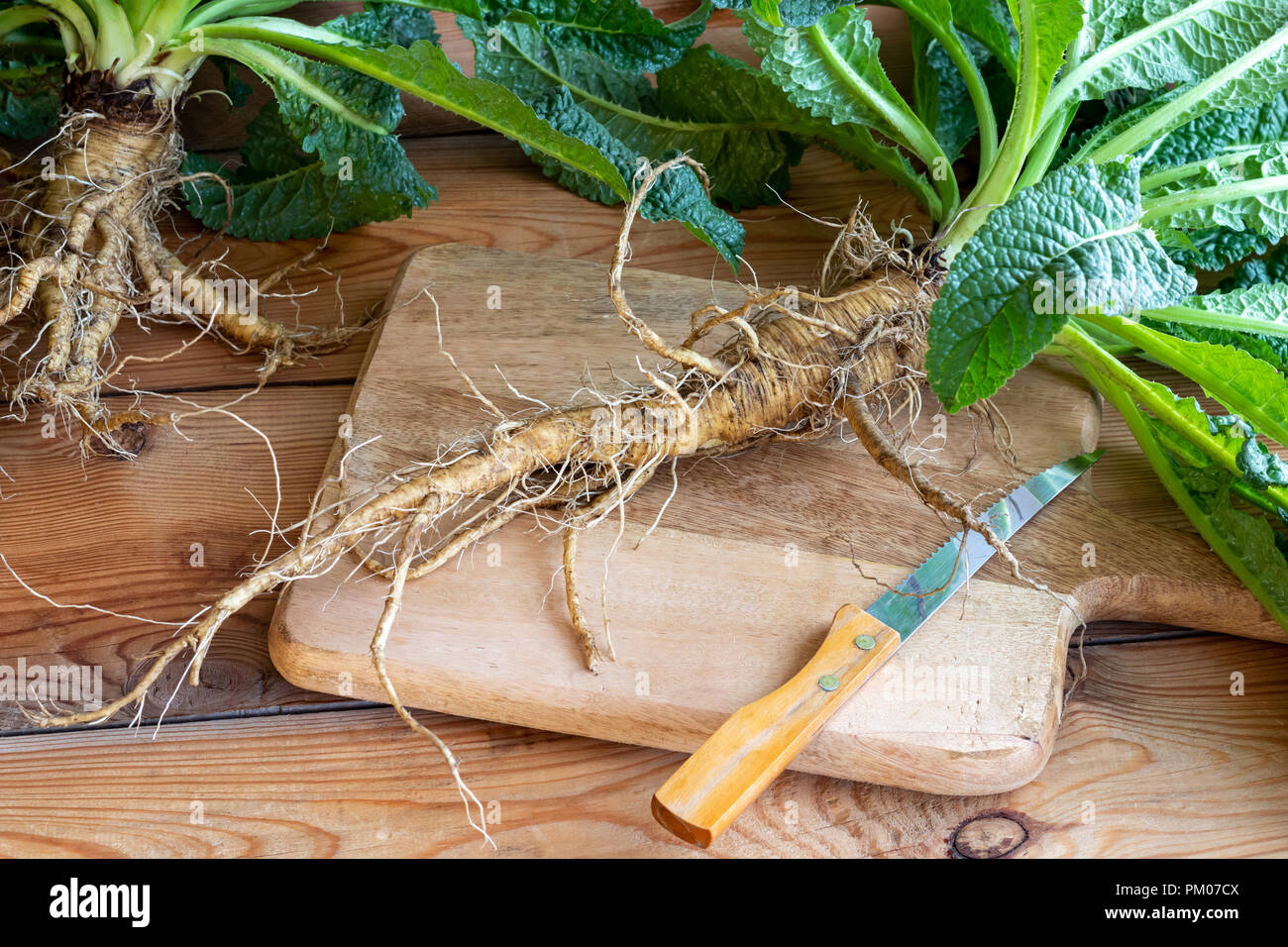 Whole weed hi-res stock photography and images - Alamy