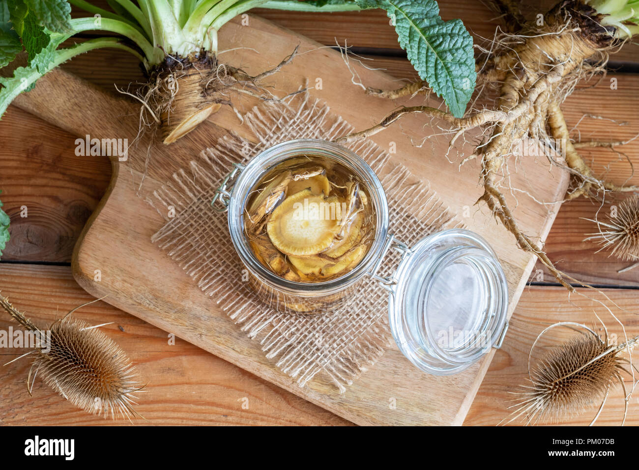 Preparation of alcohol tincture from wild teasel root - a folk remedy ...