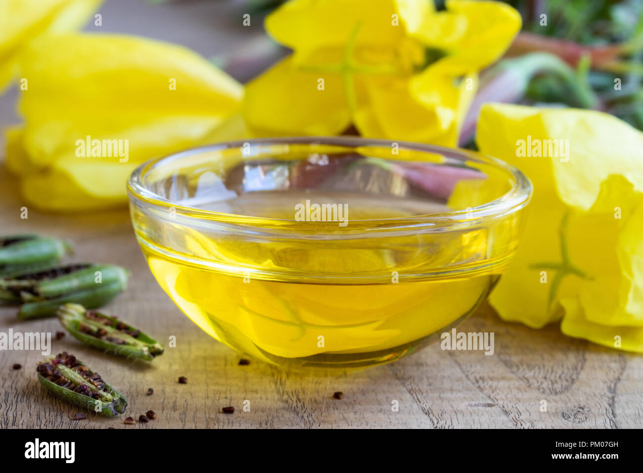 Oenothera biennis oil seed hi-res stock photography and images - Alamy