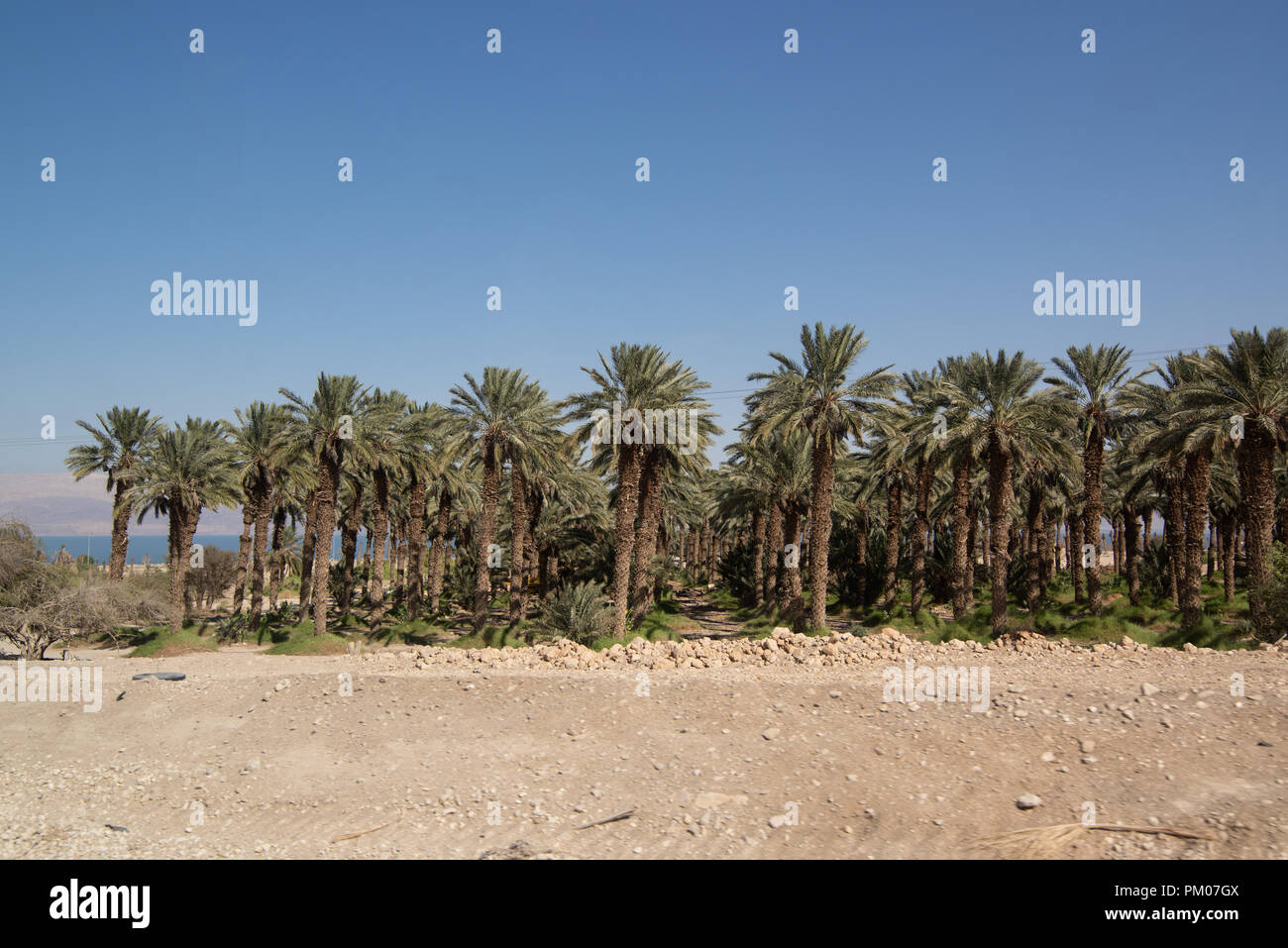 Beautiful shot embankment in hi-res stock photography and images - Alamy