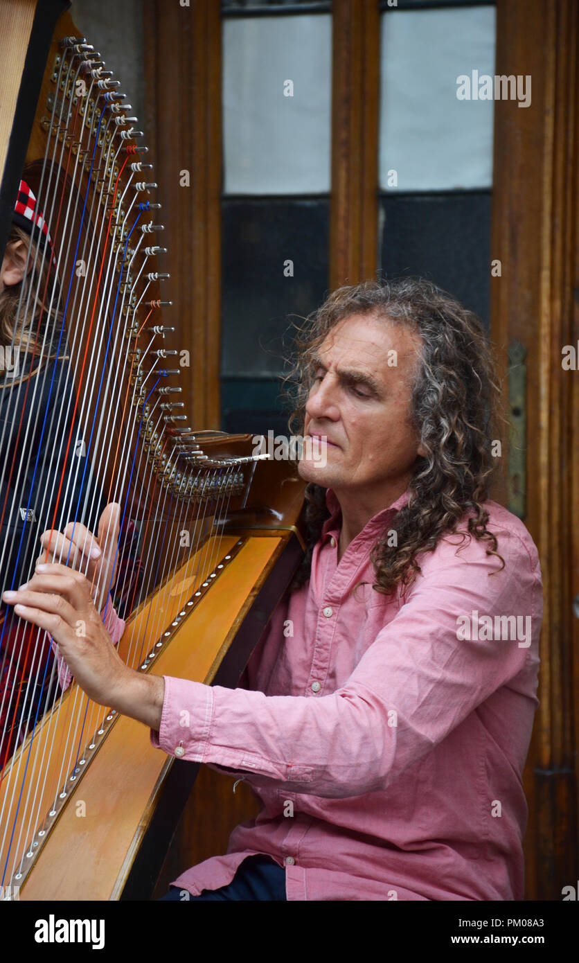 Man Playing The Harp