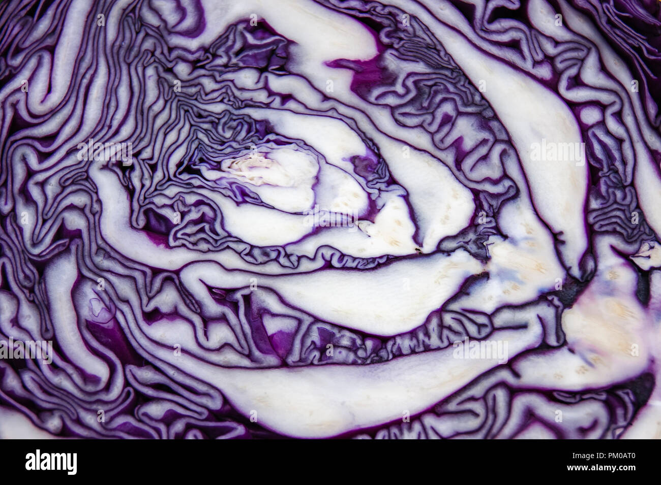 Texture of red cabbage. Natural pattern of purple and white Stock Photo ...