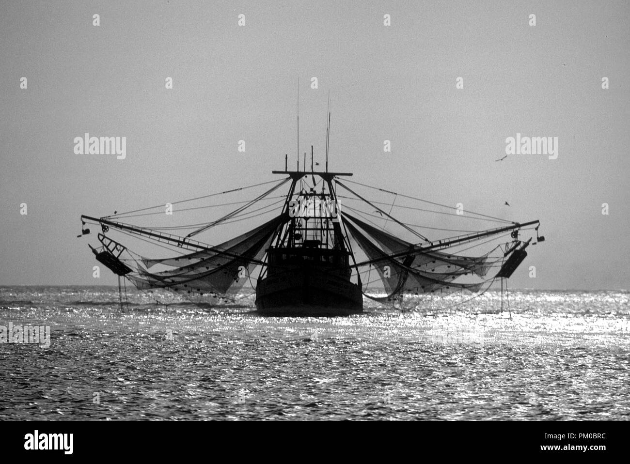 Working shrimp boat on the Gulf Coast of the United States catching ...