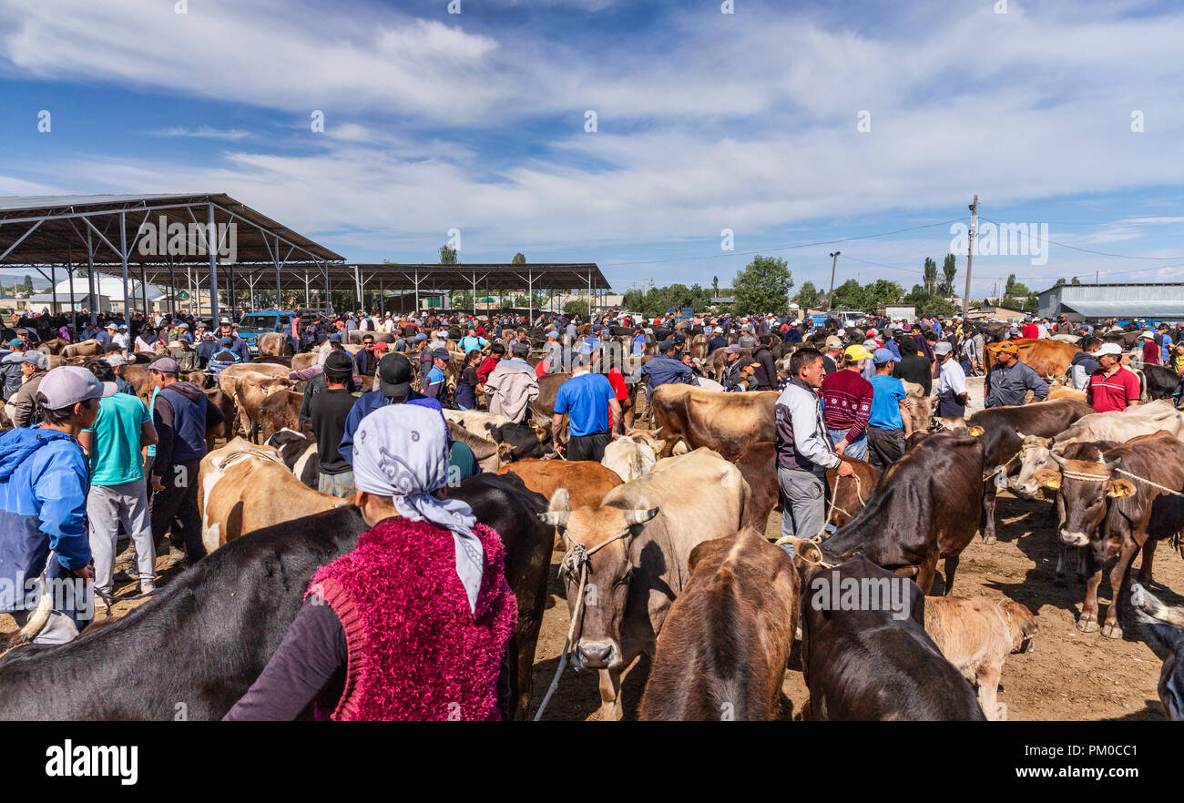 Famous Mal Bazaar (мал базары), or animal bazaar, in Karakol ...
