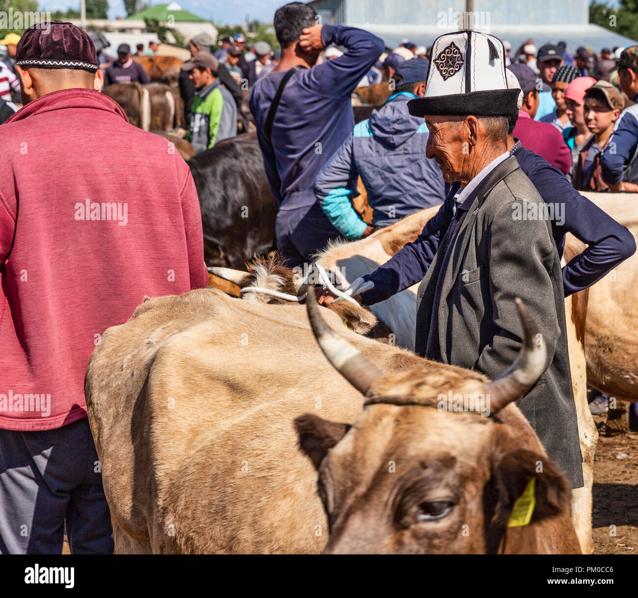 Famous Mal Bazaar (мал базары), or animal bazaar, in Karakol ...