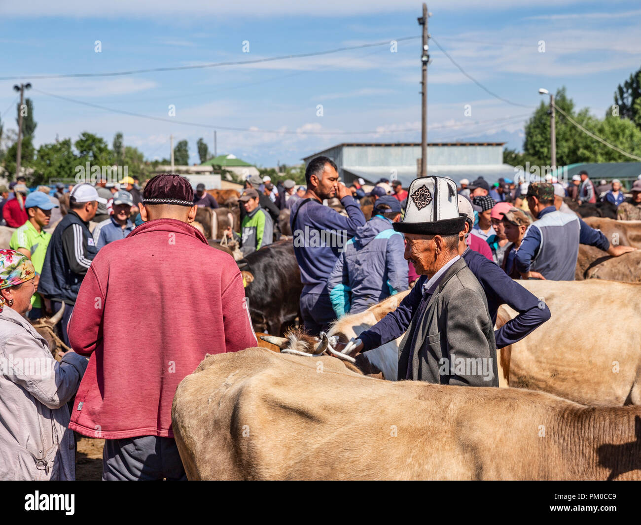 Animal bazaar hi-res stock photography and images - Alamy