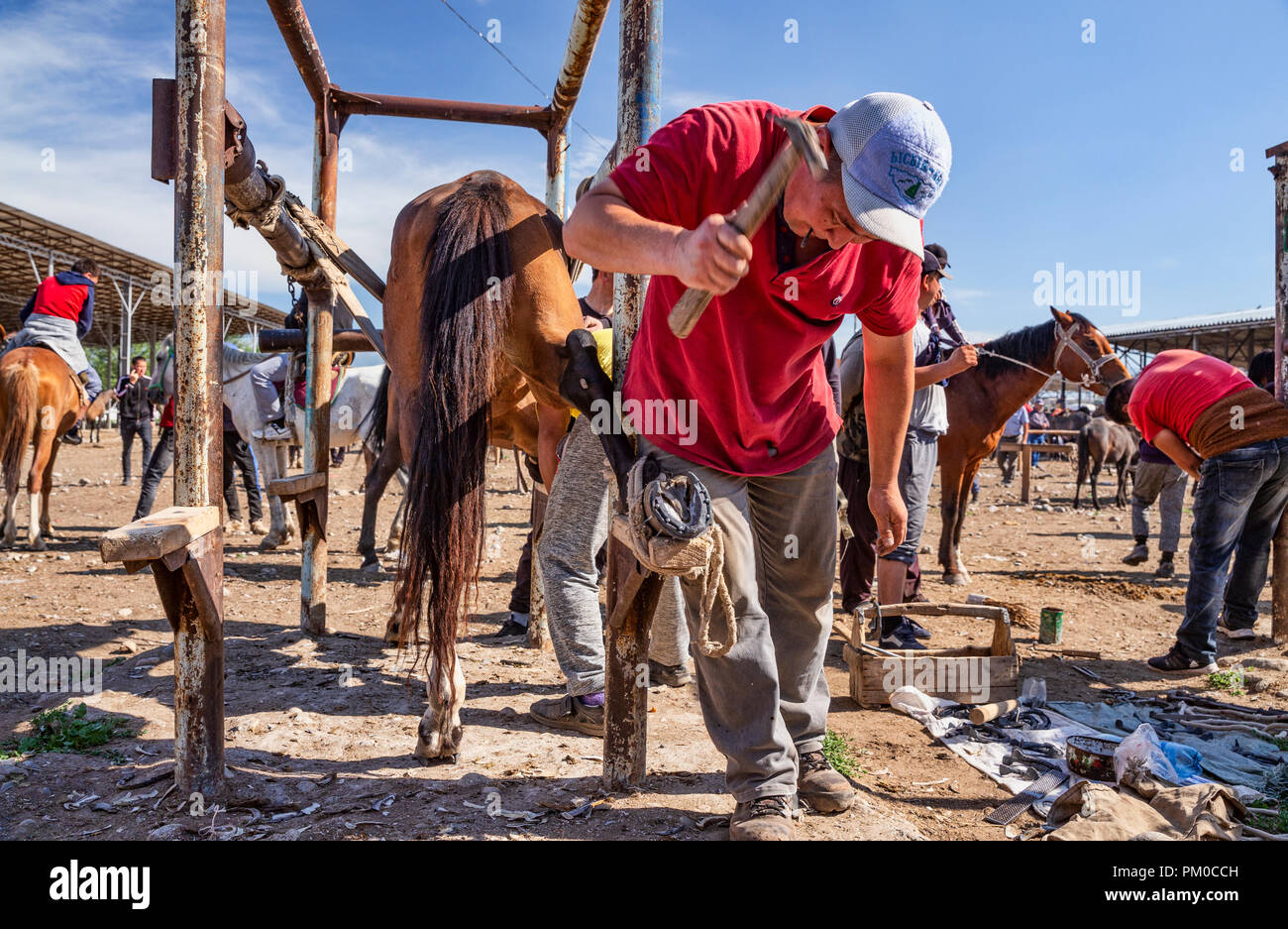Kyrgyz farrier hi-res stock photography and images - Alamy