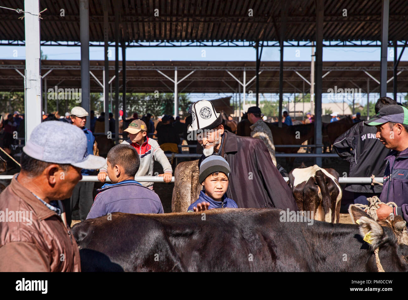 Busy central asian animal market hi-res stock photography and images ...
