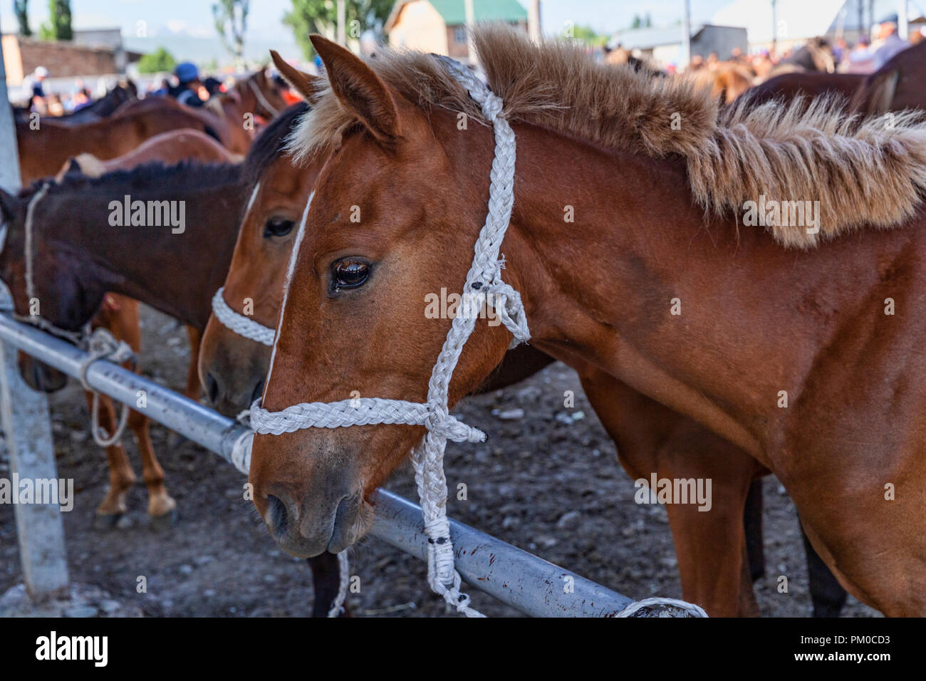 Market mal bazaar hi-res stock photography and images - Alamy