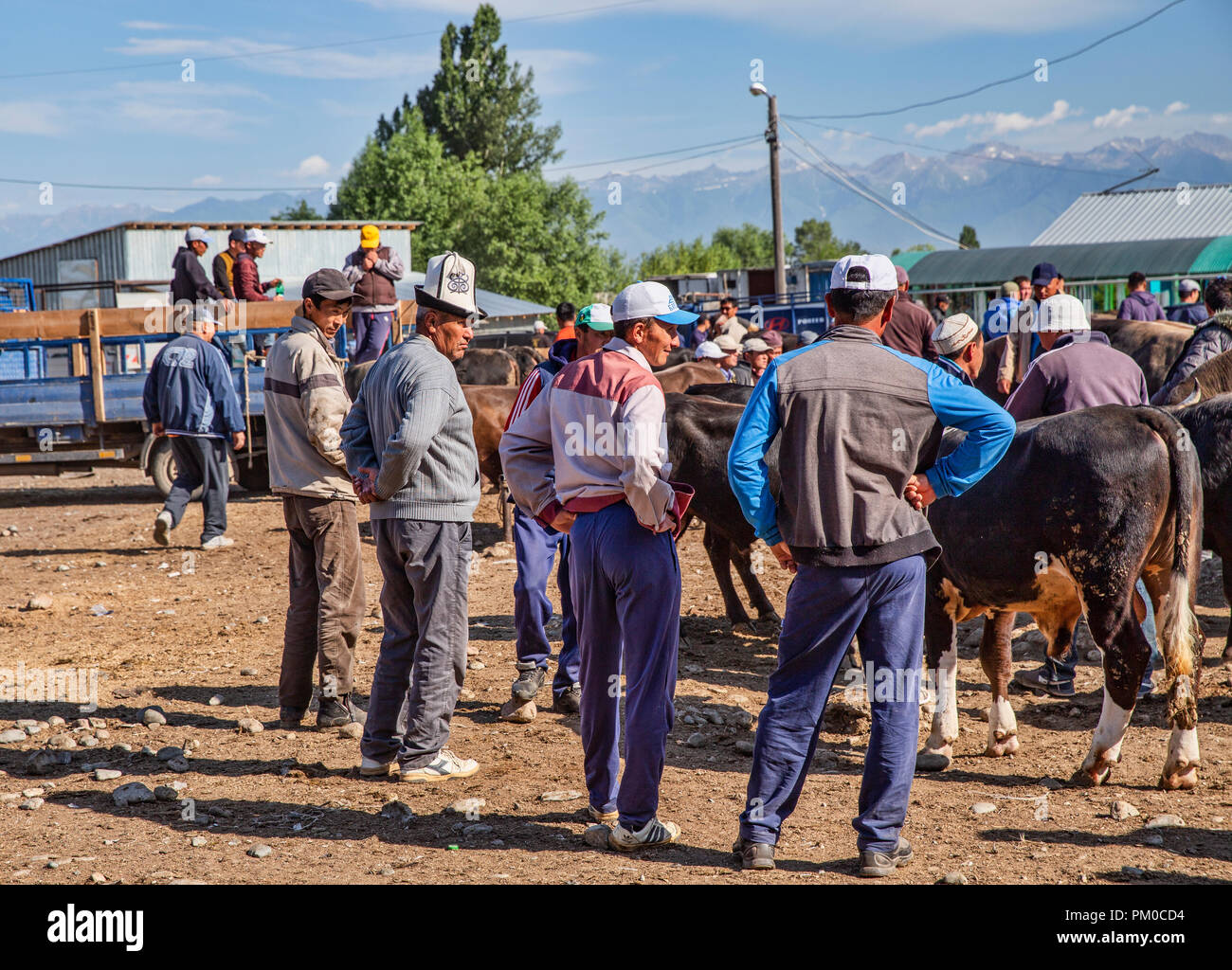Sunday animal market in karakol hi-res stock photography and images - Alamy