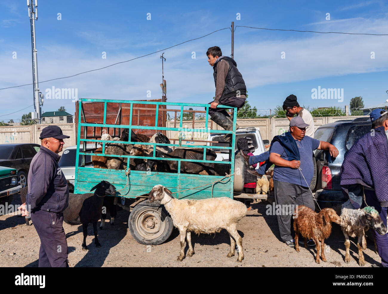 Famous Mal Bazaar (мал базары), or animal bazaar, in Karakol ...
