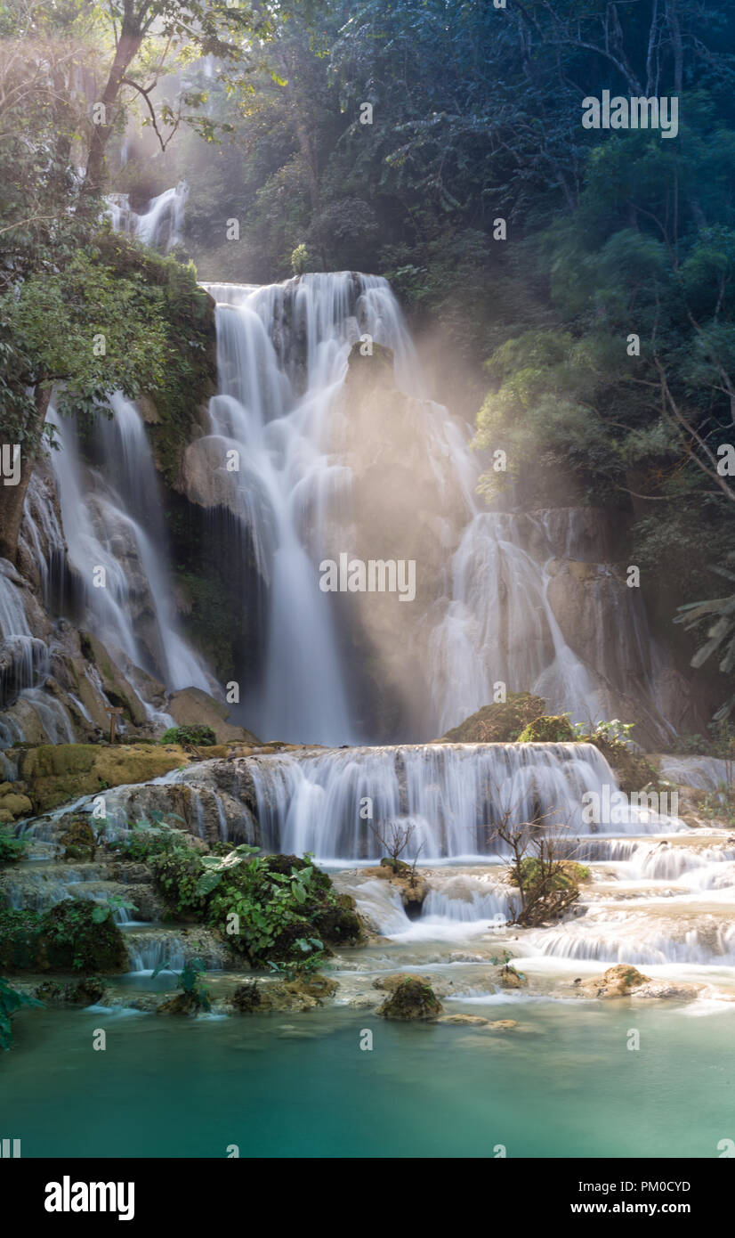 Waterfall in deep rain forest jungle Stock Photo - Alamy