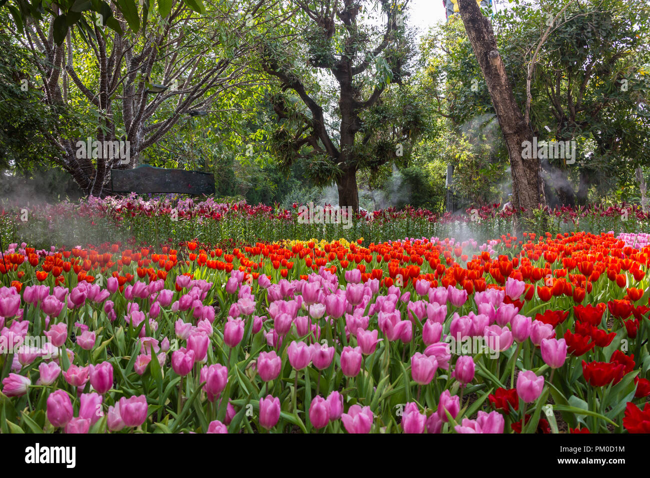 Magical field hi-res stock photography and images - Alamy