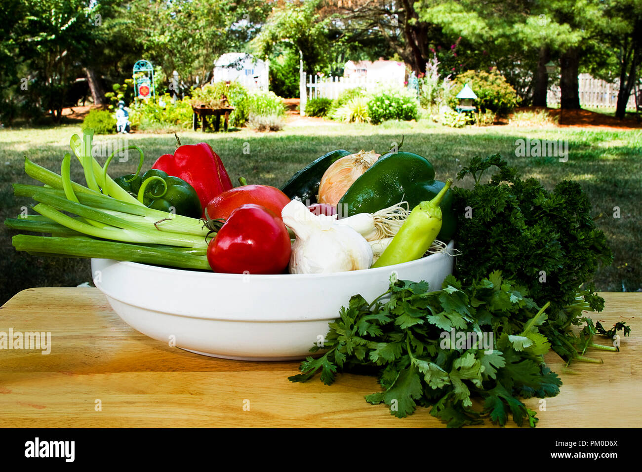 Beautiful images of an assortment of bright and colorful vegetables ...