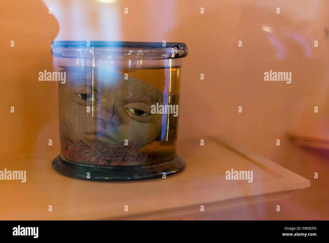 Exhibited monster hi-res stock photography and images - Alamy