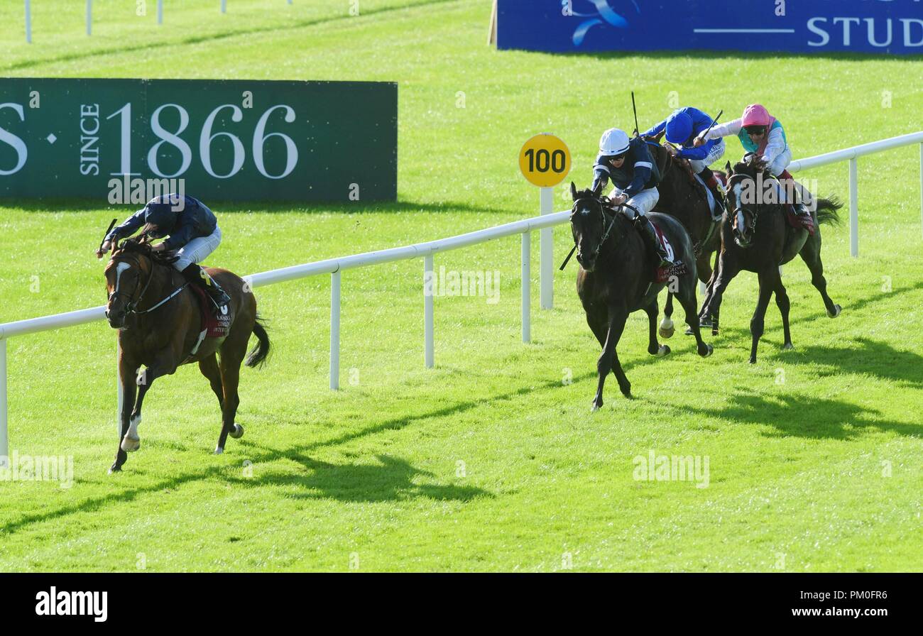 Ryan moore win comer group international irish st leger hi-res stock ...
