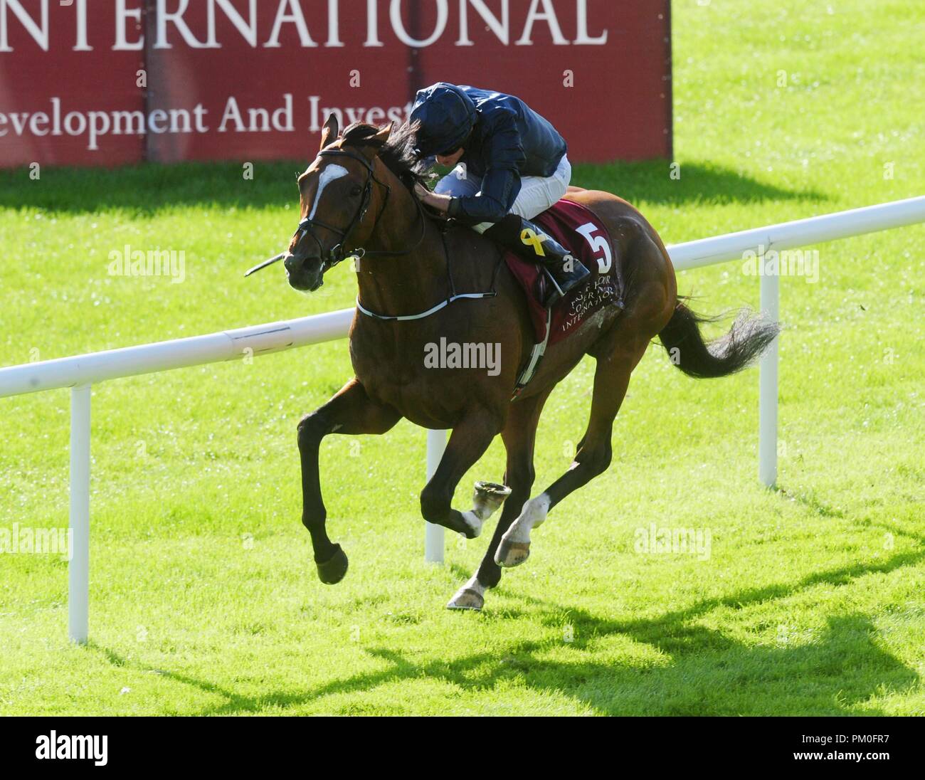 Ryan moore win comer group international irish st leger hi-res stock ...