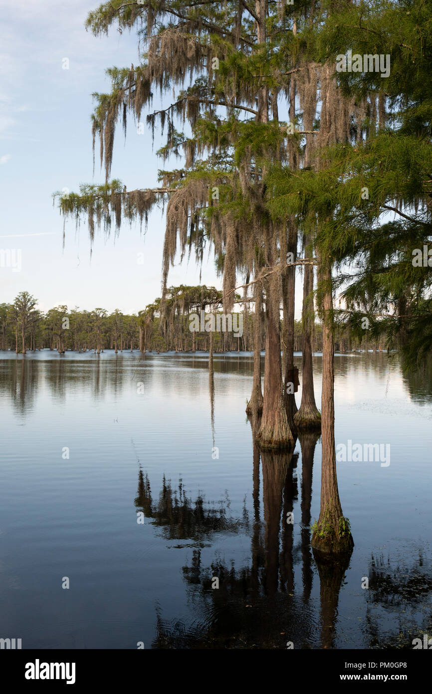 Unseen nature hi-res stock photography and images - Alamy