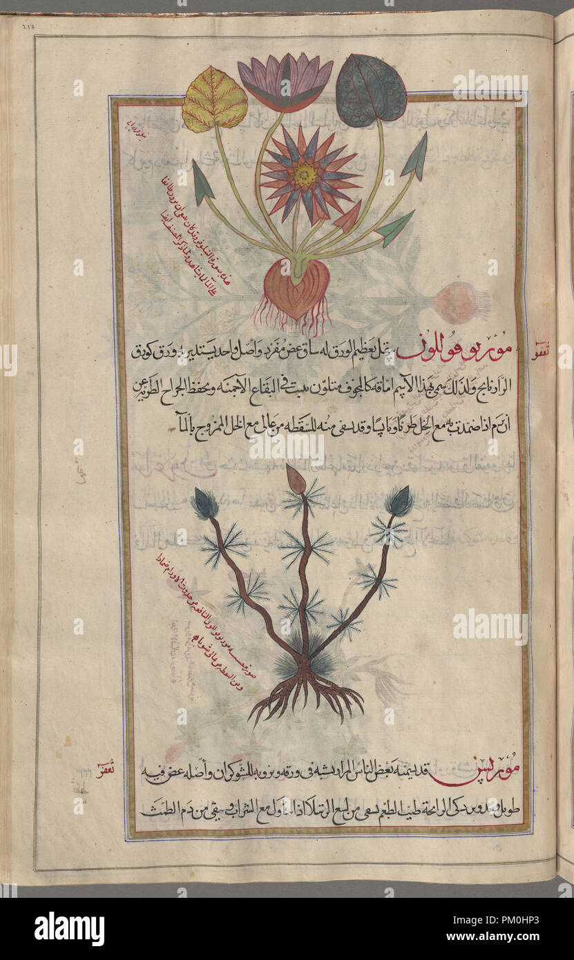 Medieval manuscript border hi-res stock photography and images - Alamy