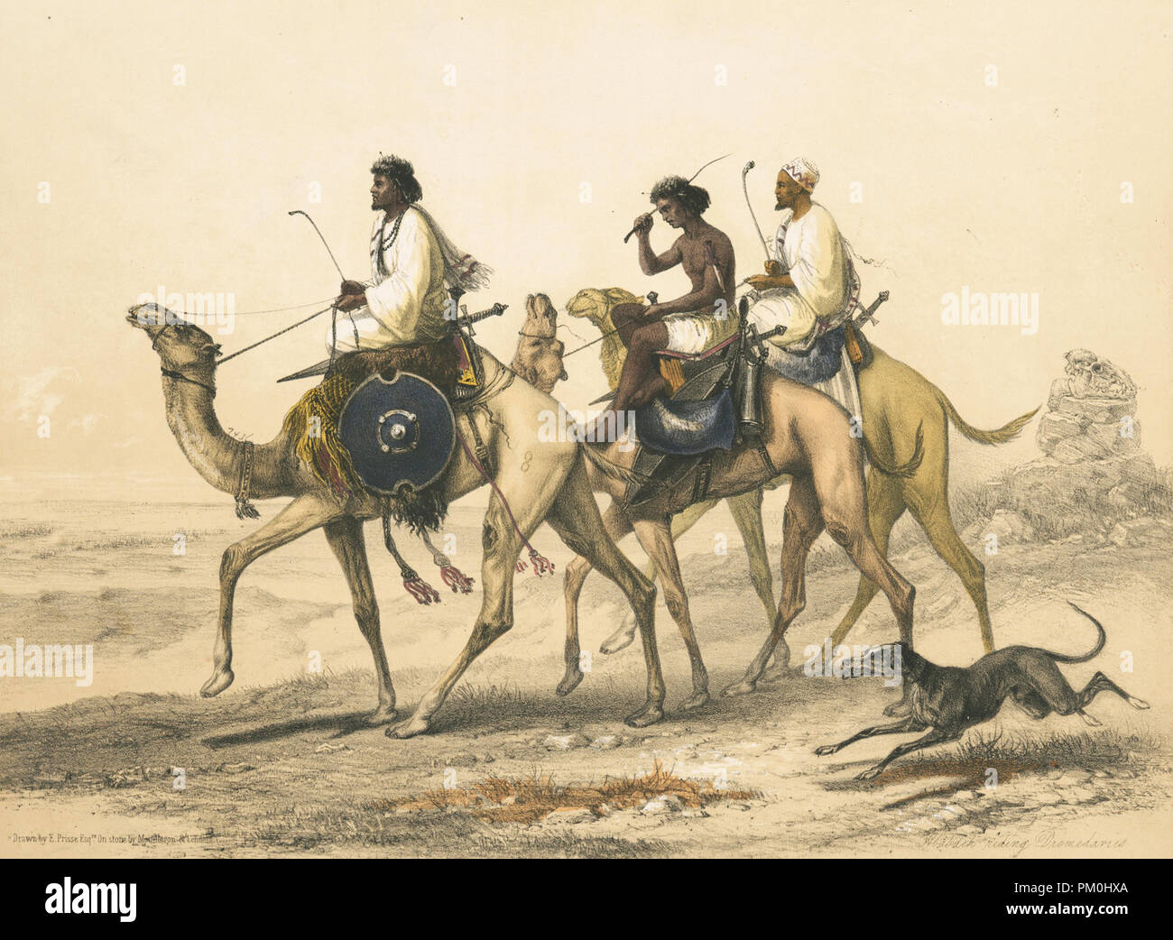 arabs and camels in the desert Stock Photo - Alamy