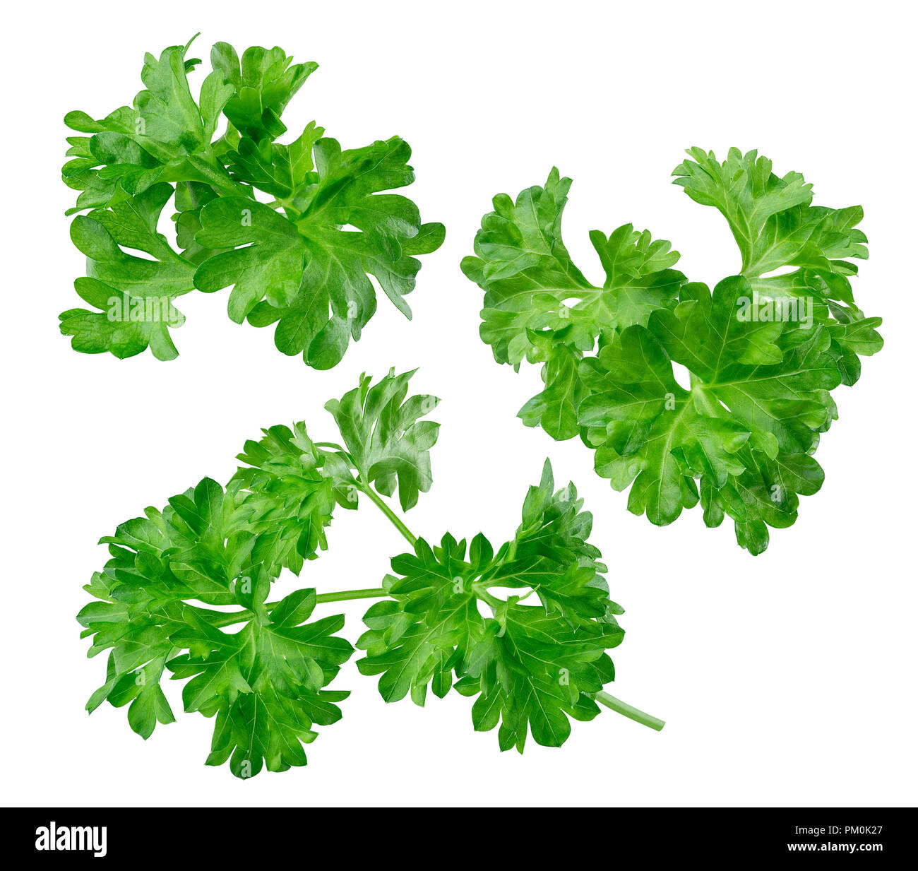 Set parsley hi-res stock photography and images - Alamy