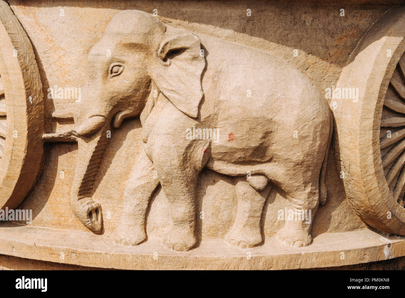 Hathi paer hi-res stock photography and images - Alamy