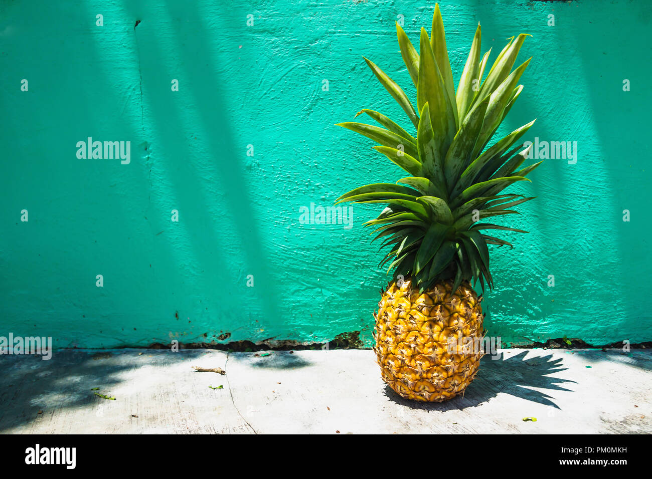 Huge Pineapple on turquoise wall with sunlight and shadow, Bacalar ...