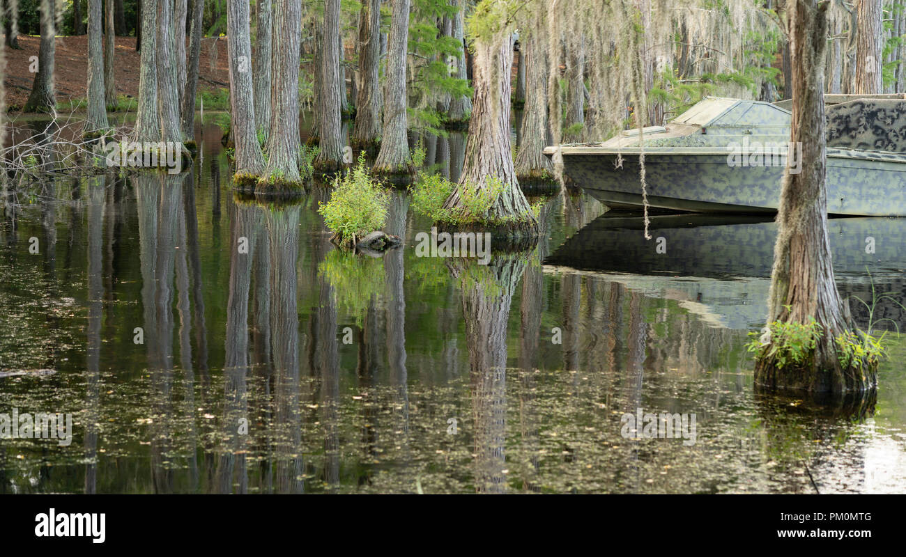 Florida slough swamp marsh hi-res stock photography and images - Alamy