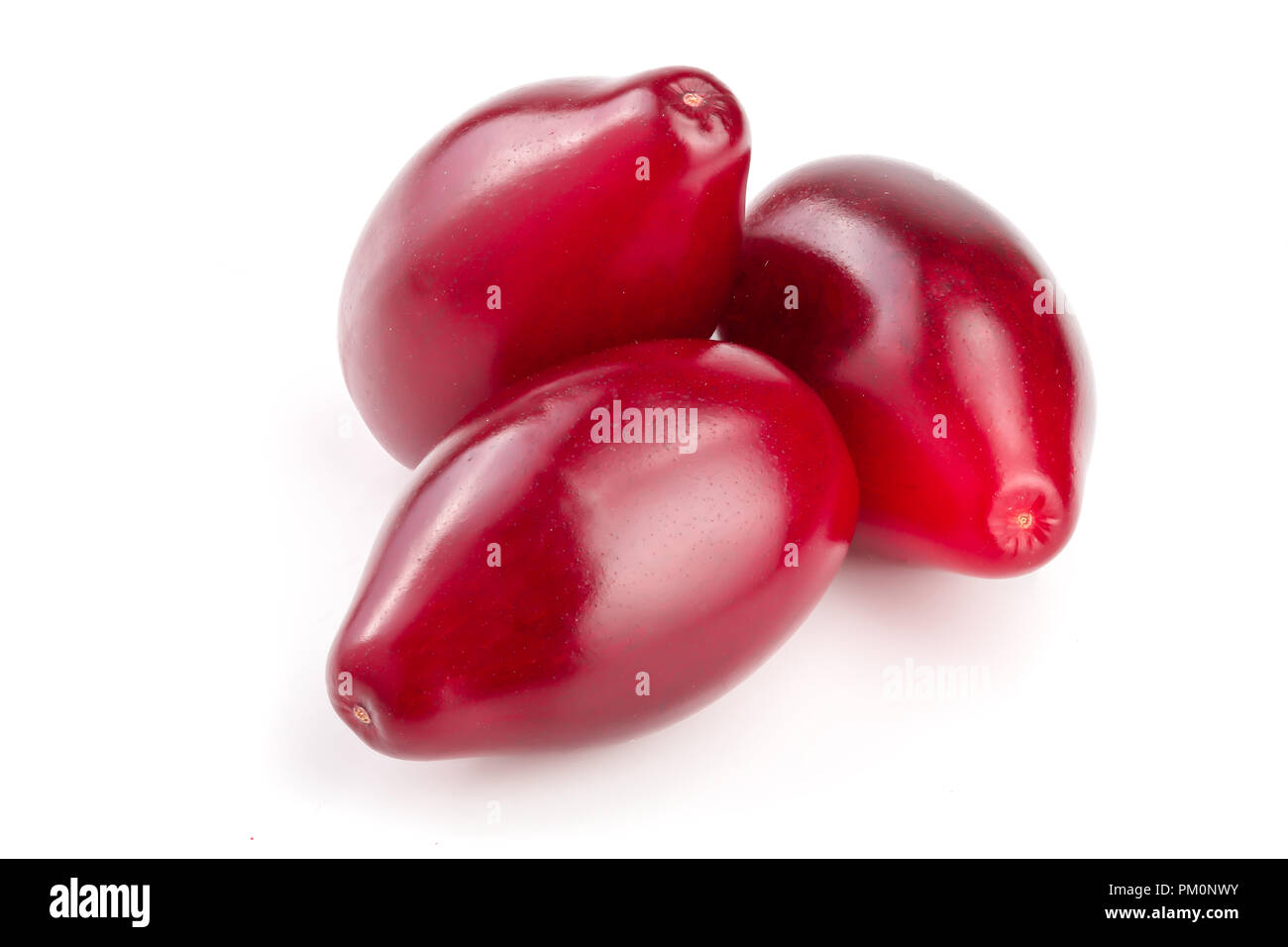 Cornell red hi-res stock photography and images - Alamy