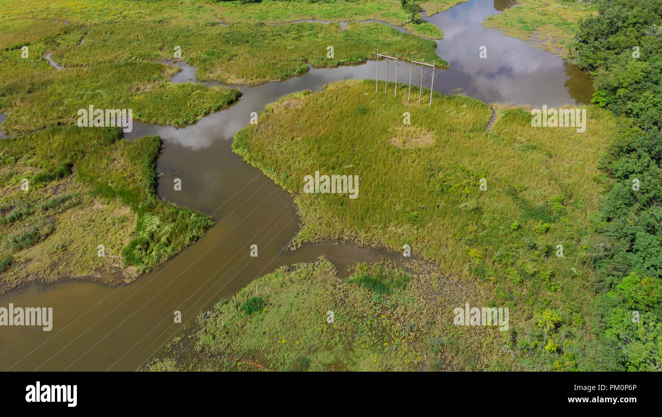 Aerial view of river and forest, Texture background of river and forest ...
