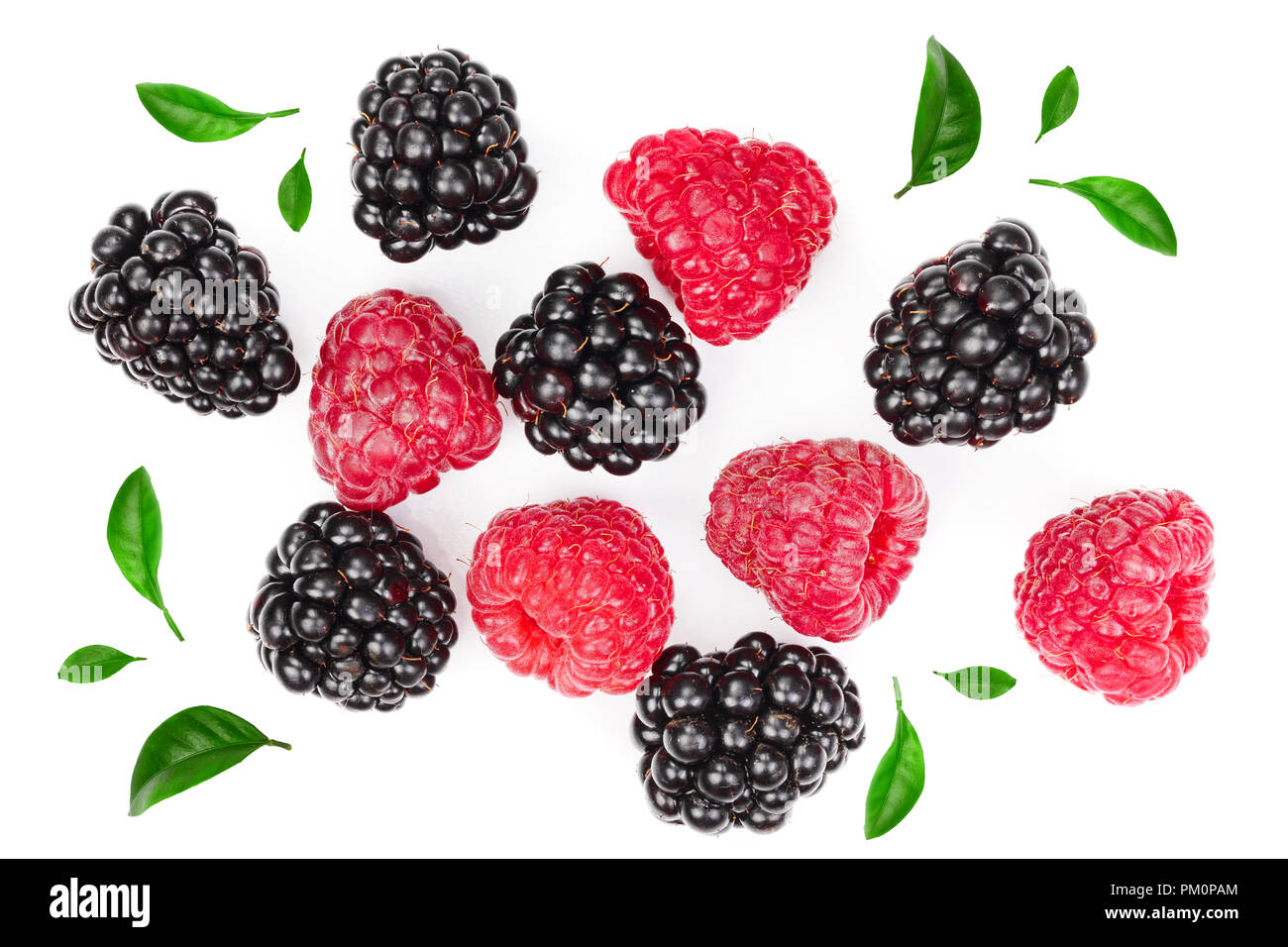 blackberry and raspberry with leaves isolated on white background. Top ...