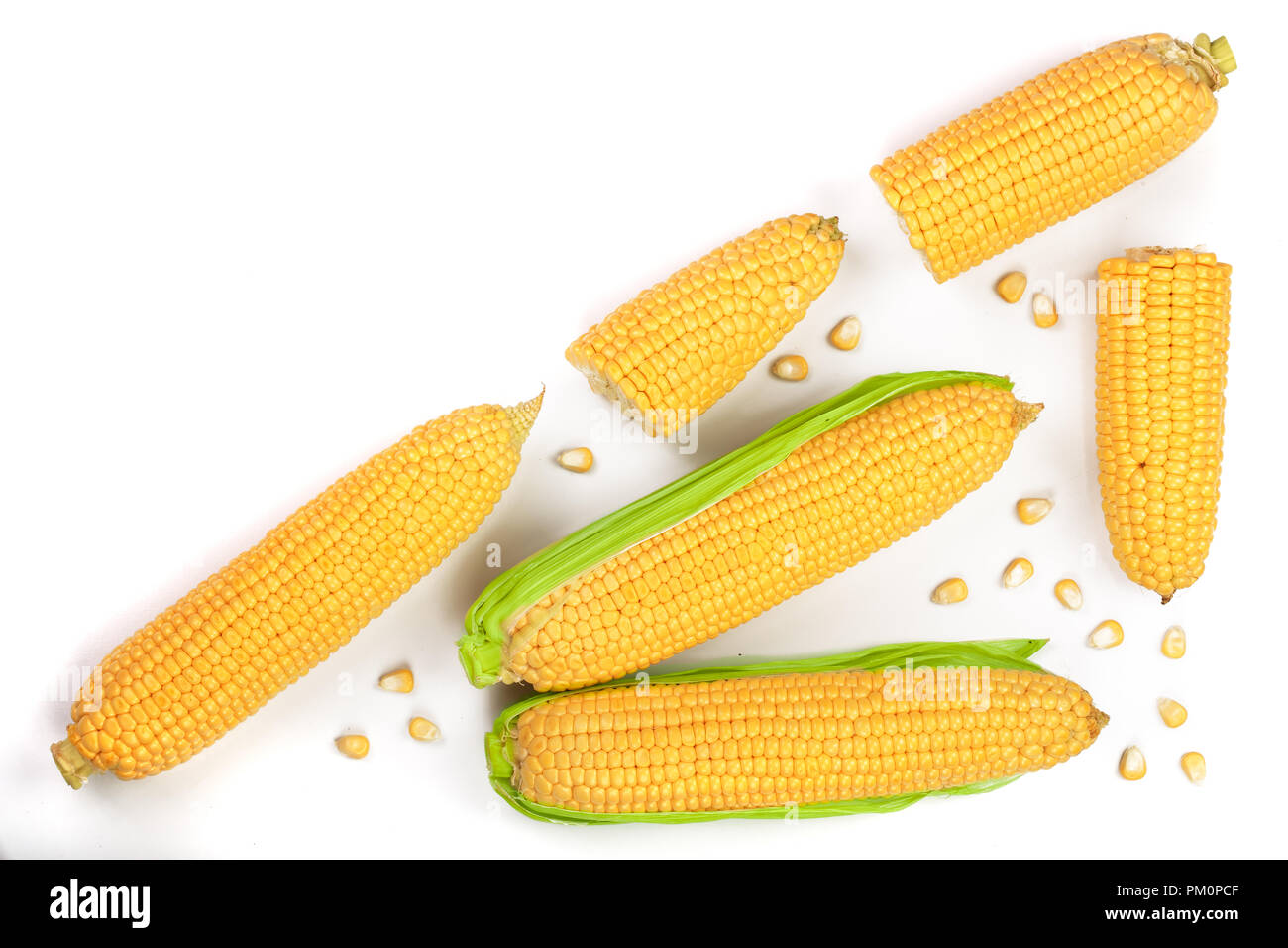 ear of corn isolated on a white background with copy space for your ...