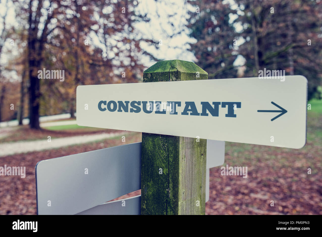 Consultant signpost with right pointing arrow and text on a rustic ...
