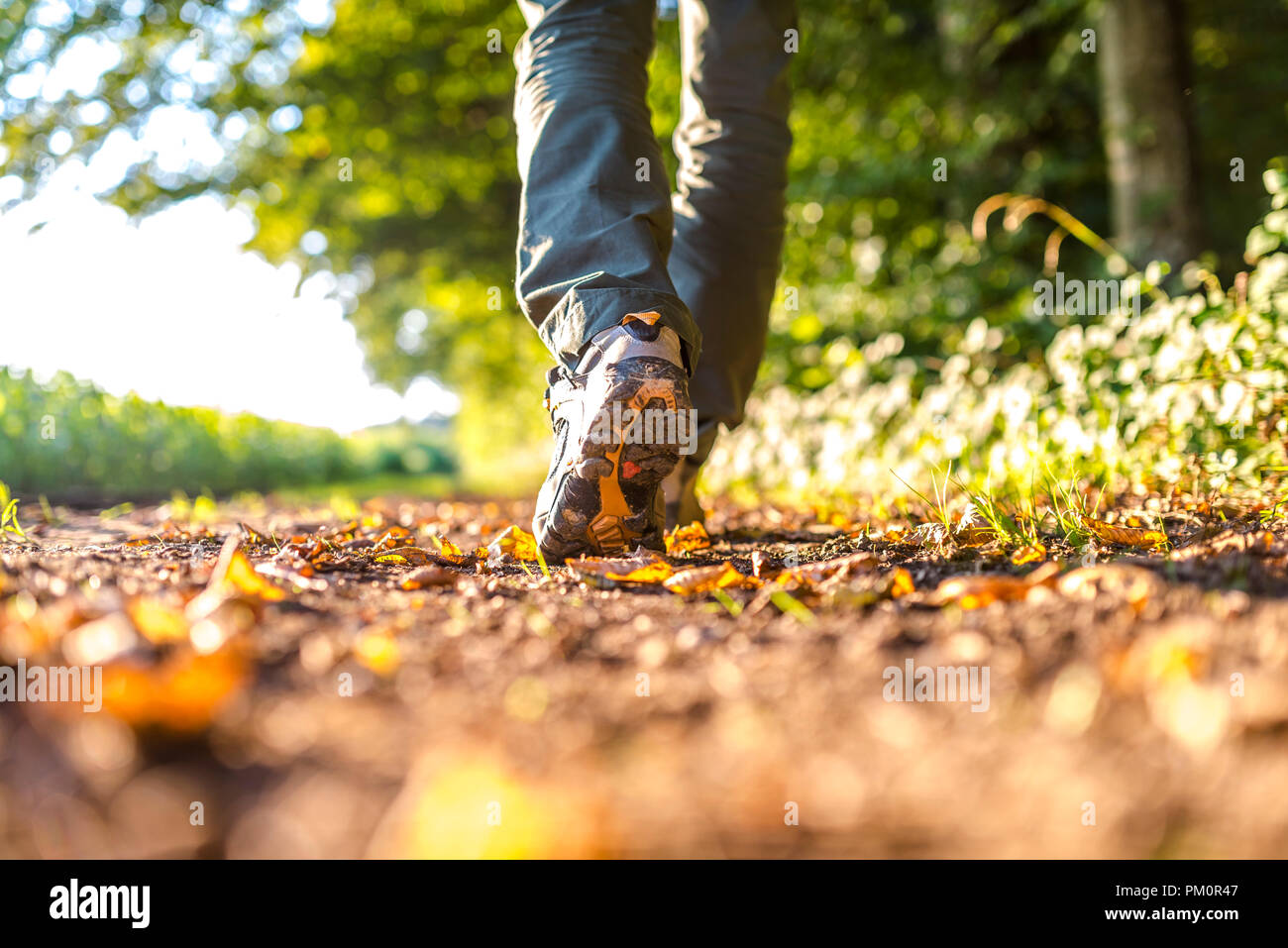 Legs male hiker relaxing hi-res stock photography and images - Alamy