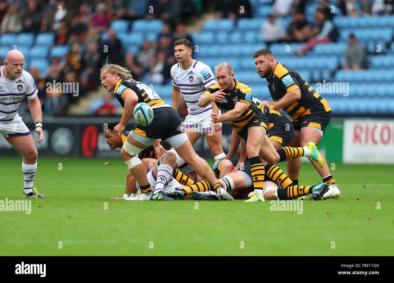 Wasps rugby hi-res stock photography and images - Alamy