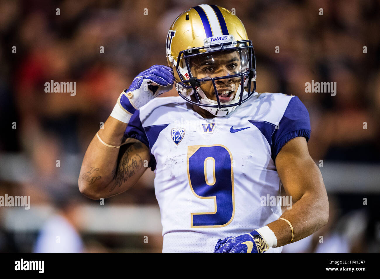 Gaskin lake hi-res stock photography and images - Alamy