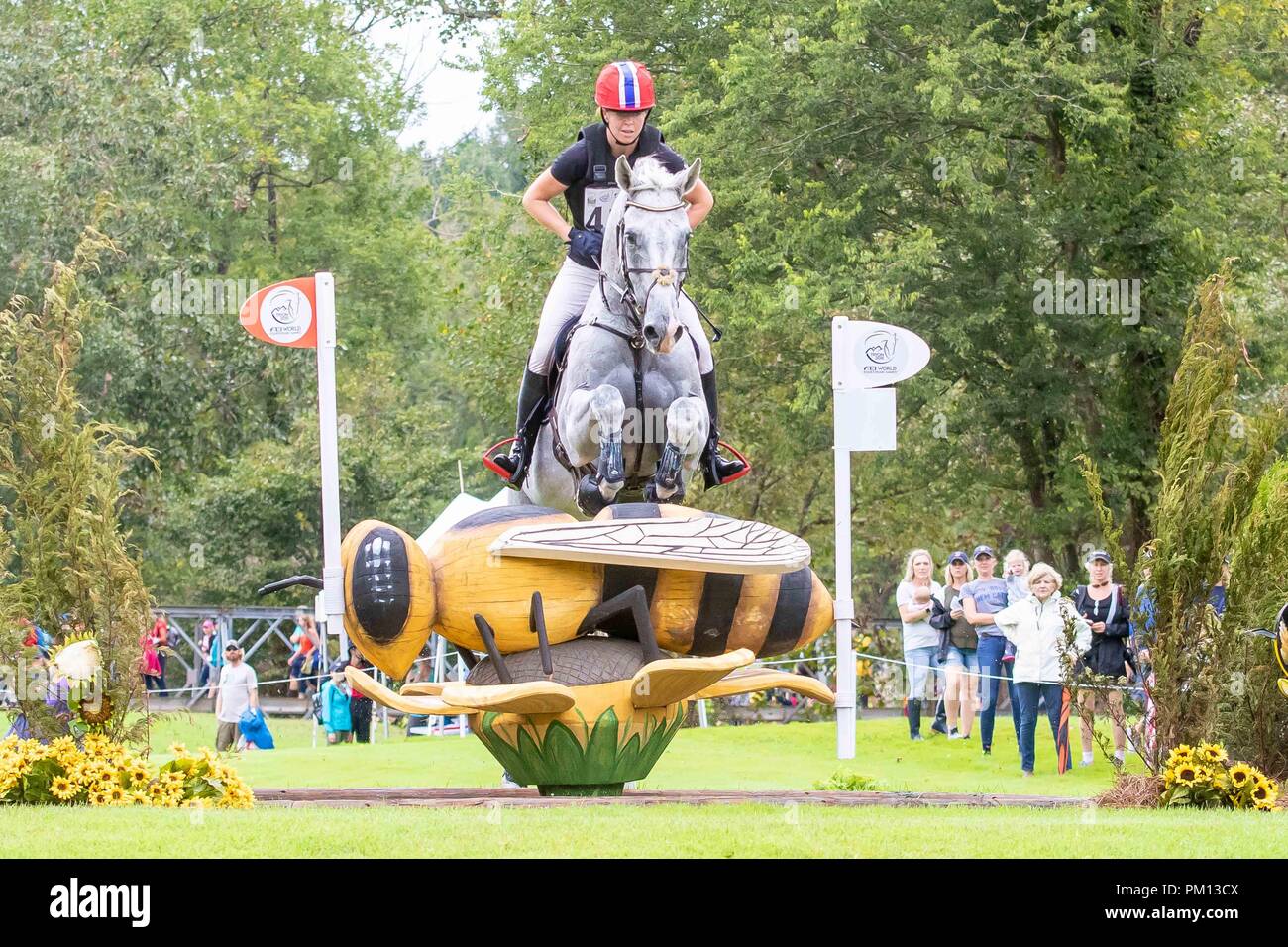 Eventing heidi hi-res stock photography and images - Alamy