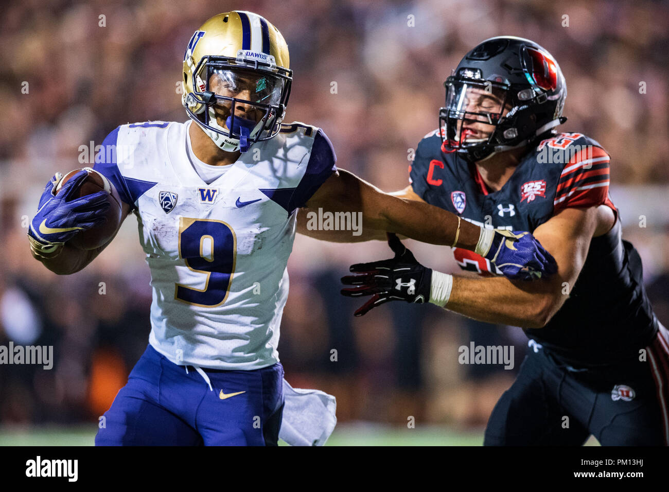 Gaskin lake hi-res stock photography and images - Alamy