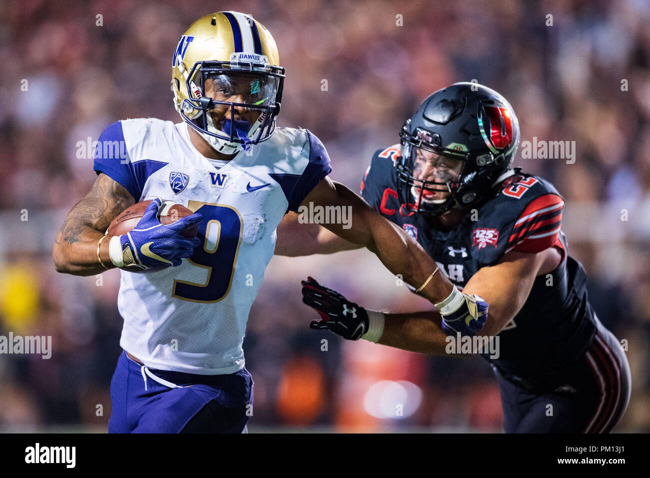 Gaskin lake hi-res stock photography and images - Alamy