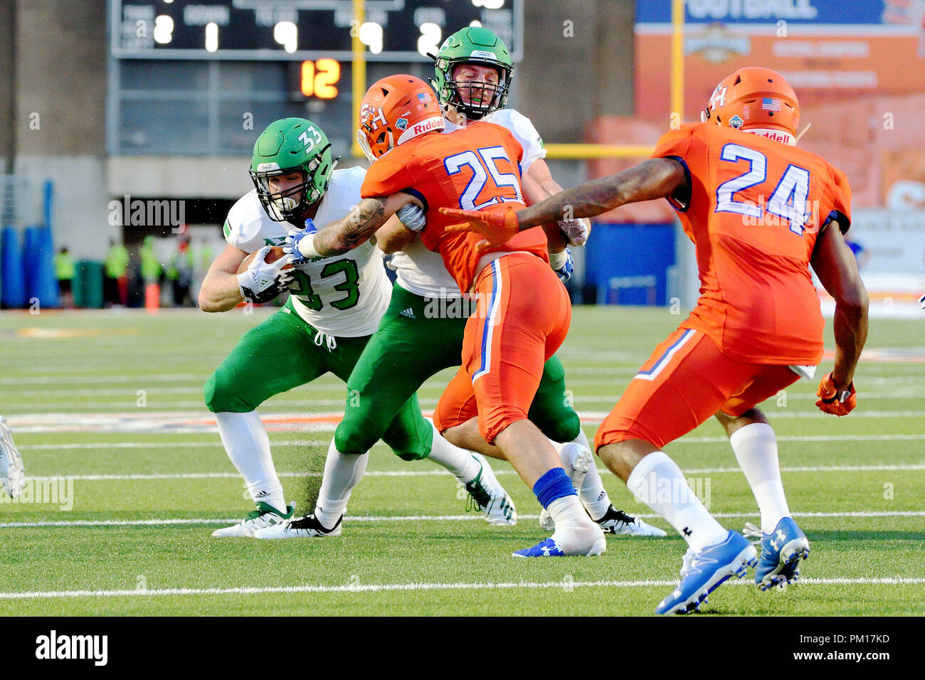 Bat hawks hi-res stock photography and images - Alamy