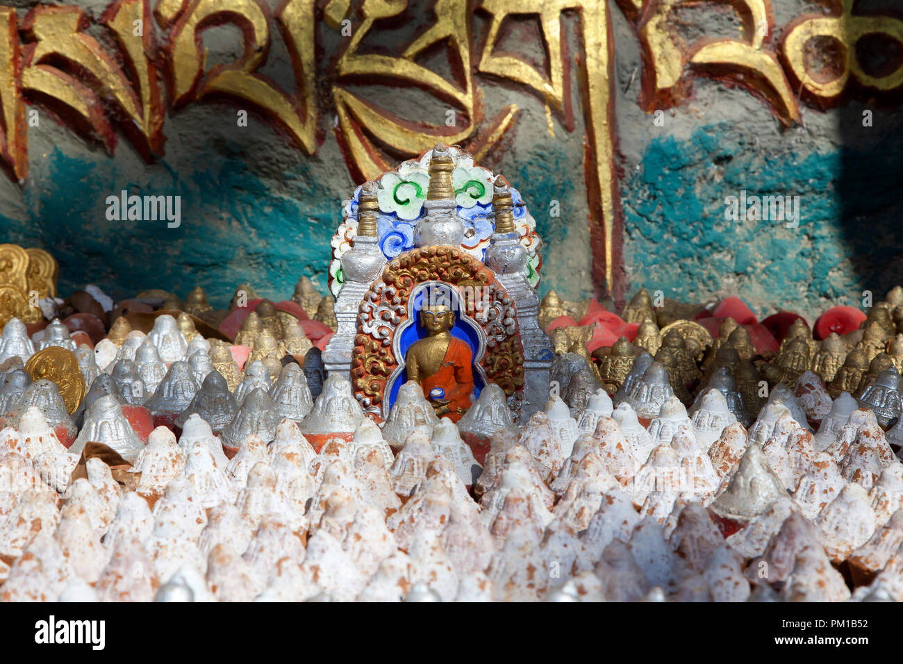 Tsa tsas hi-res stock photography and images - Alamy