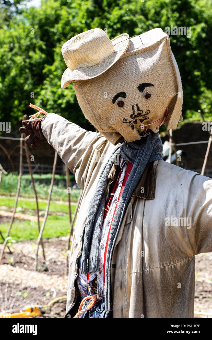 Scarecrow with a face Stock Photo - Alamy