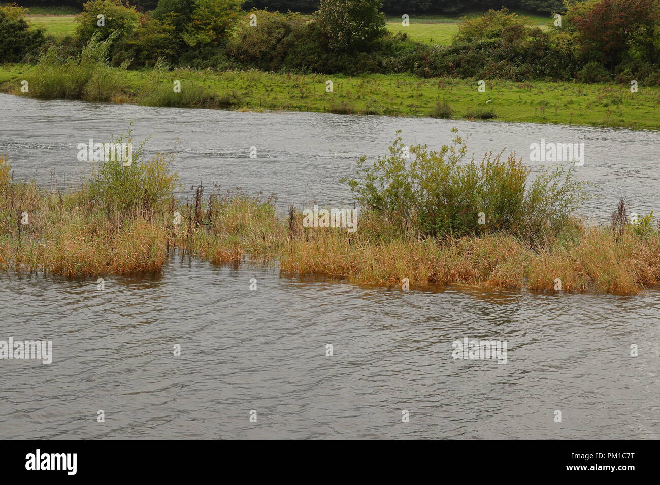 Small island by the river hi-res stock photography and images - Alamy