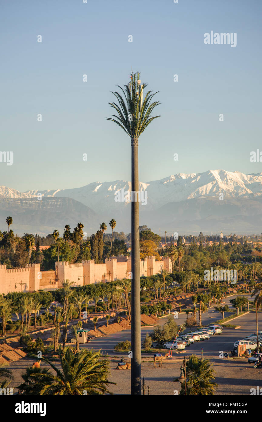 26-02-15, Marrakech, Morocco. A cell phone mast duisguised as a palm ...