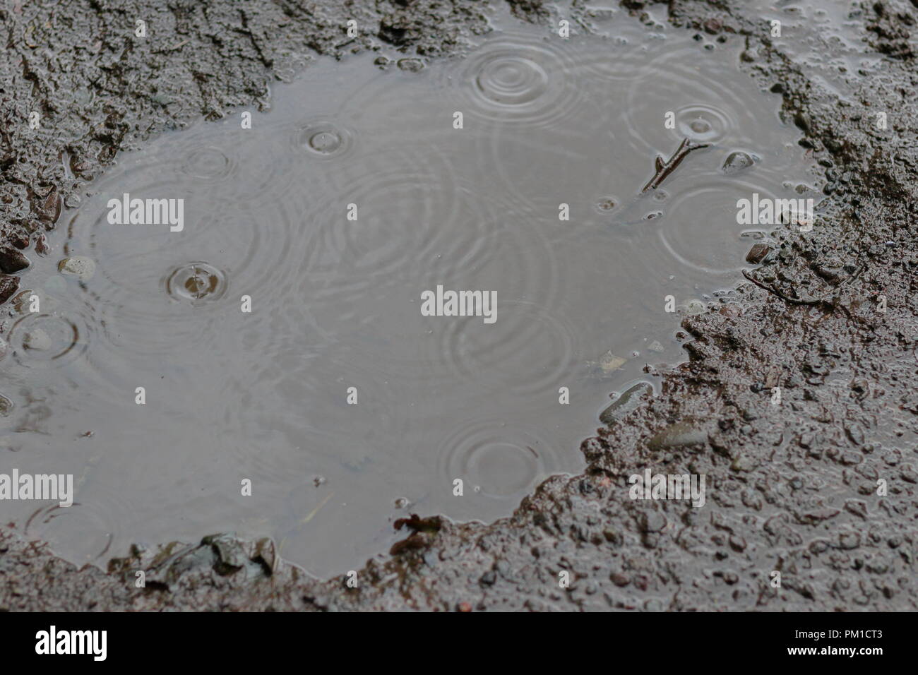 Raindrops in the puddle Stock Photo - Alamy
