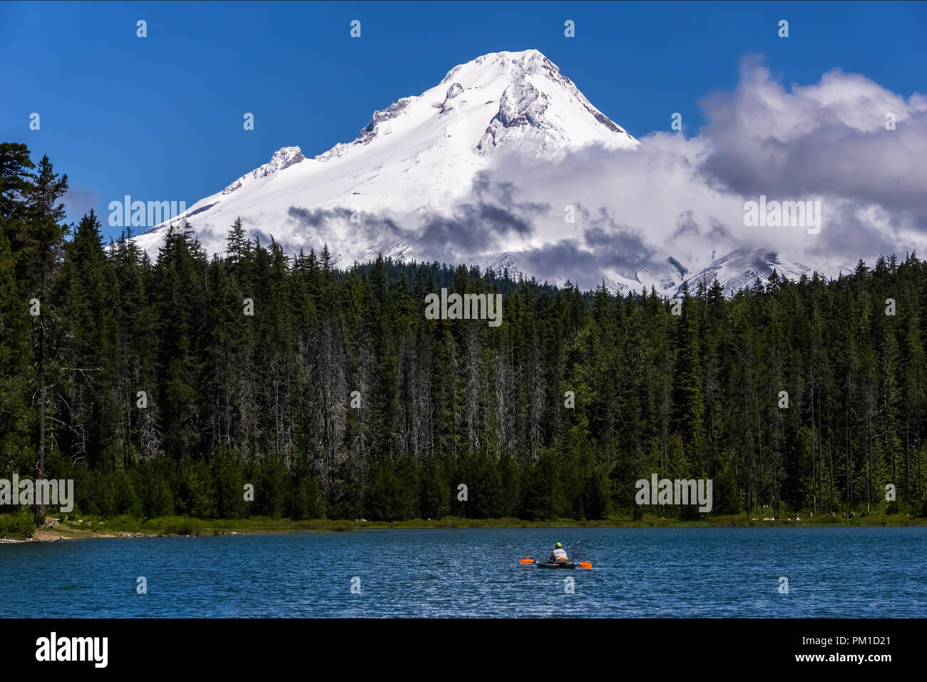 Fishing frog hi-res stock photography and images - Alamy