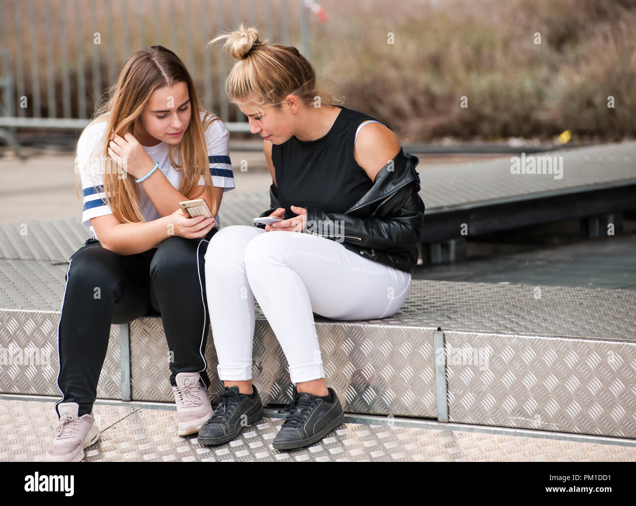 Teenage chicks hi-res stock photography and images - Alamy