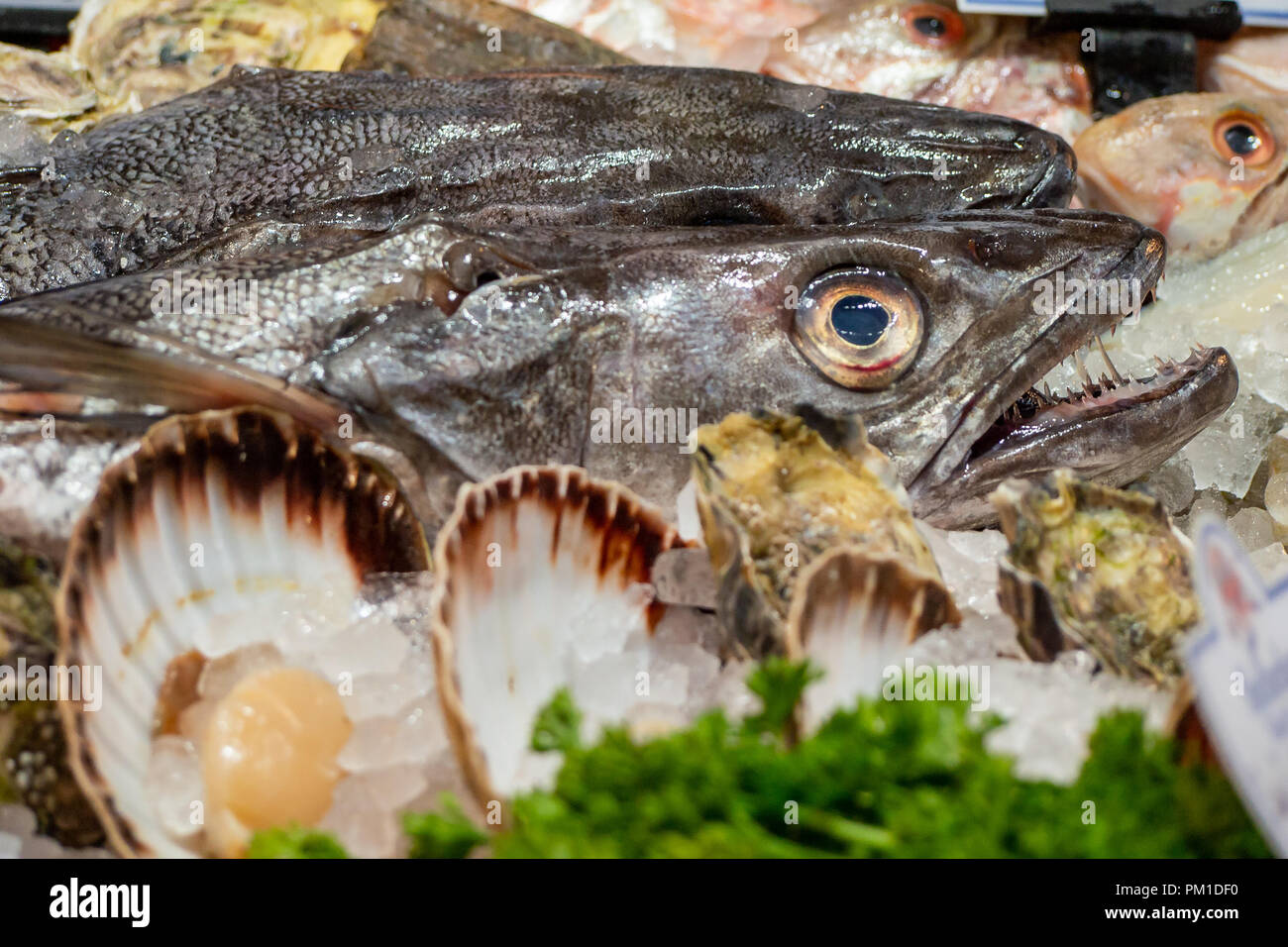 Fishmongers stall borough market southwark hi-res stock photography and ...