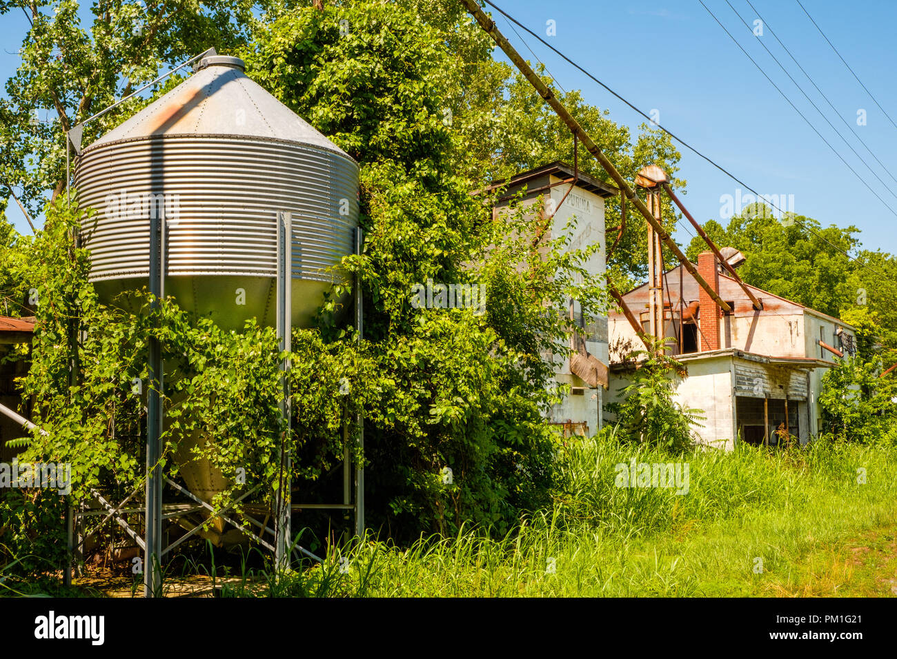 Timberville historical hi-res stock photography and images - Alamy